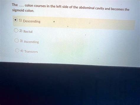 Solved The Descending Colon Courses In The Left Side Of The Abdominal Cavity And Becomes The