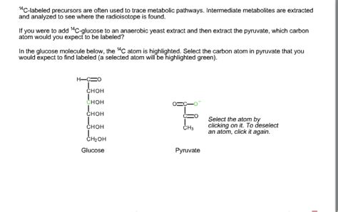 Solved Pyruvate Is The End Product Of Glycolysis Its