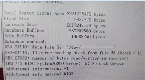 oracle database ora 01115 io error reading block from file 58 block 1