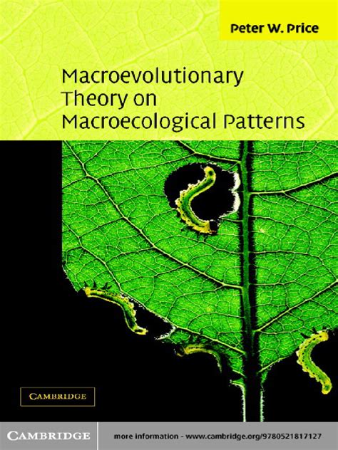 Macroevolutionary Theory On Macroecological Patterns Pdf Ecology Theory