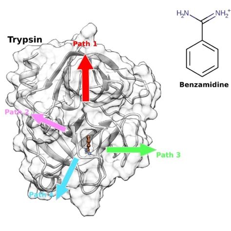 inhibitor unbinding pathways for p38 map kinase and abl kinase a