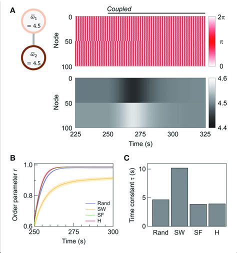 Synchronization In Interconnected Networks A Schematic Download Scientific Diagram
