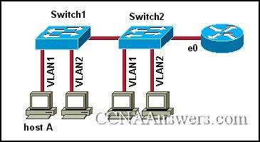 Ccna Module V Answers
