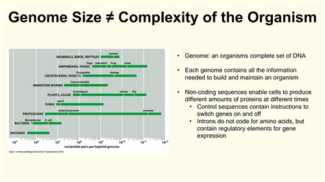 Solution Protein Structure Evolution Determination And Analysis