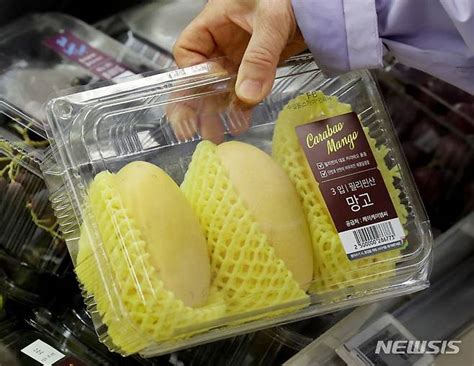 망고가 당뇨를 막아준다고美서 나온 놀라운 연구 결과