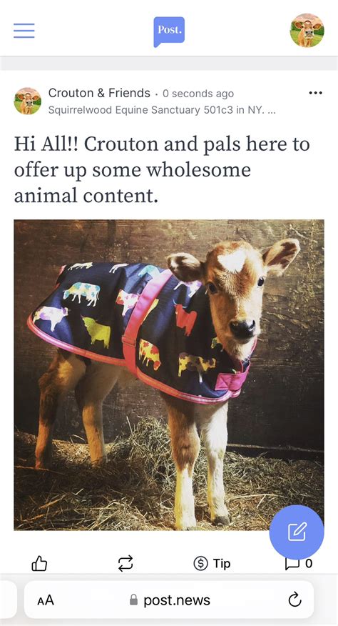 Crouton Friends M Crouton Mstdn Social On Twitter If You Are