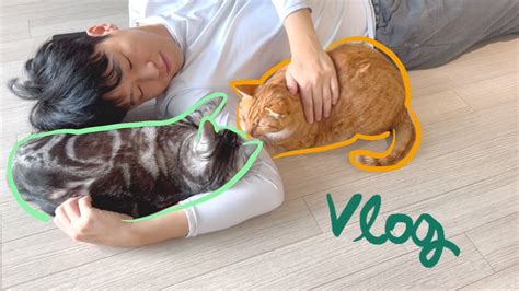 Vlog 31살 애니 덕후 유부녀🤓 신혼부부 브이로그 이연복 자장면 스파이패밀리 피규어 고셋집🏠 Youtube