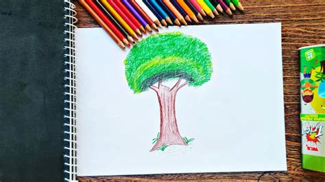 Tree Drawing Tutorial For Beginners Step By Step🌳‎sumrarts Youtube