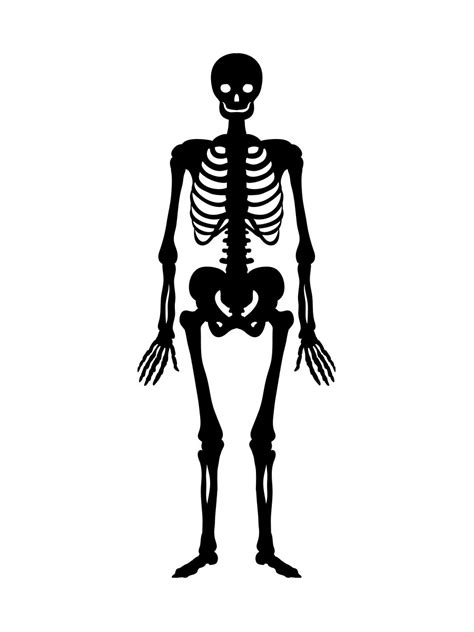 Free Printable Skeleton Stencils And Templates