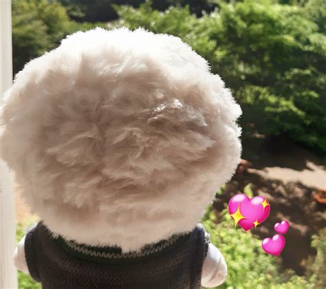 금괴🏅 On Twitter 하 애들아 나 정말 너무 옷 입히는 거 힘들엇어 나 땀 뻘뻘이야 💦 우리 집 악어를 봐