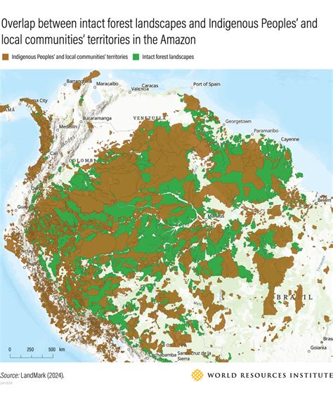 Protecting Biodiversity Hinges On Securing Indigenous And Community