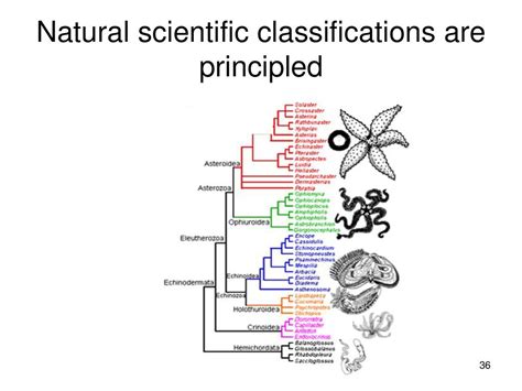 Rules For Good Ontology Ppt Download