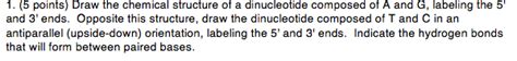 Solved 1 5 Points Draw The Chemical Structure Of A