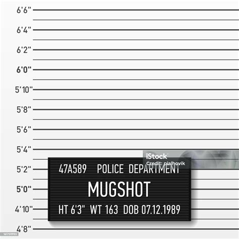 경찰 Mugshot 지명수배자 사진에 대한 스톡 벡터 아트 및 기타 이미지 지명수배자 사진 신장계 교도소 Istock