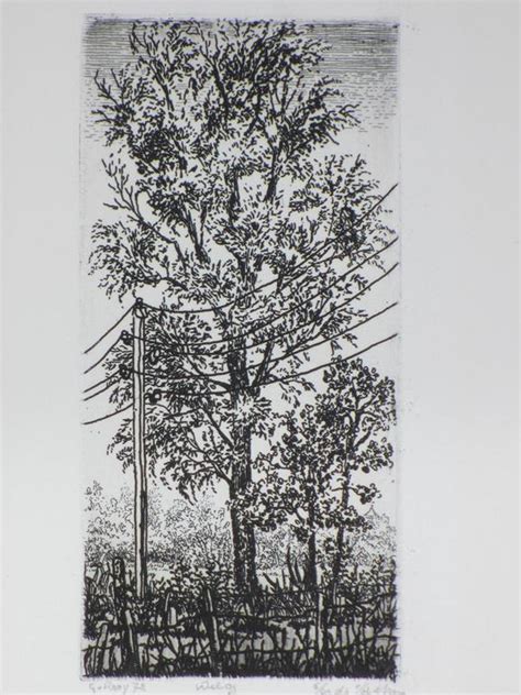 Gerard Van Rooy Gerard Van Rooy Wilg Ets 1972 Verkocht