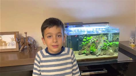 Ճամփորդություն դեպի Եգիպտոս Youtube