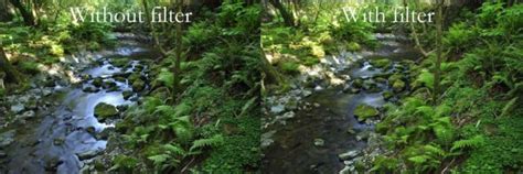 What Does A Polarizing Filter Do Before After Comparisons Creative Pad Media