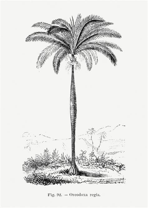 Cc0 Artworks From Rawpixels Own Public Domain Library Rawpixel