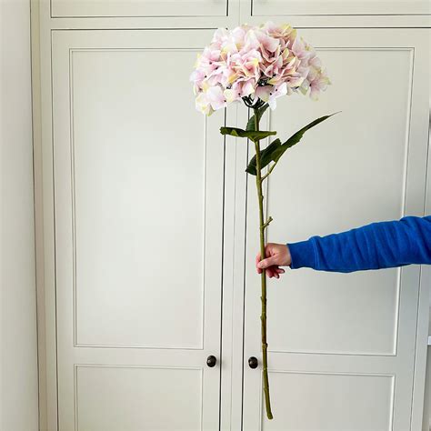 Giant Pink Hydrangea Stem Champagne And Ginger