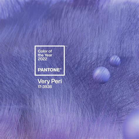 Pantone Releases Purple Shade In Memory Of Prince
