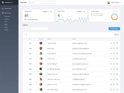 Setup And Customize Laravel Nova Admin Panel By Novasuperman Fiverr