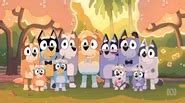 Stripe Heelergallery Bluey Wiki Fandom