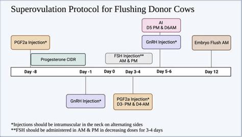 International Embryo Technology School Bovine Reproduction Articles