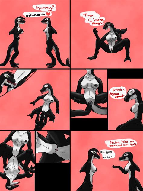 Rule 34 Breasts Cetacean Female Heart Marine Orca Pussy Sex Slit Tribadism Yuri 1053327