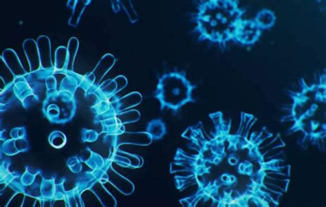 Hayes Study Finds Stress Management Could Reduce Biological Risk Et