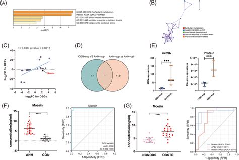 Identification And Verification Of Moesin As An Effective Biomarker For