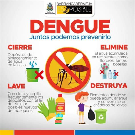 Consejos Para Controlar La Propagación De Mosquitos Portadores De