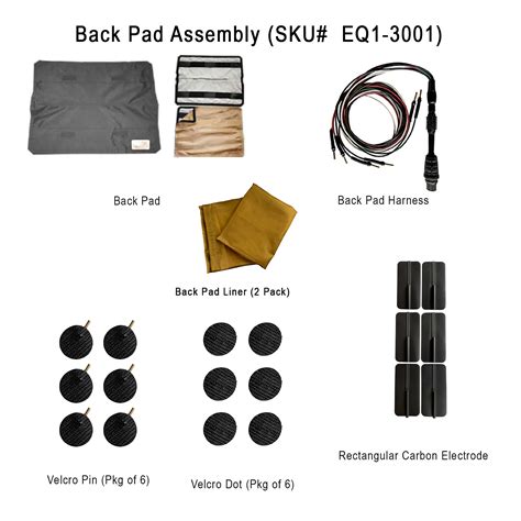 Back Pad Assembly Equinew