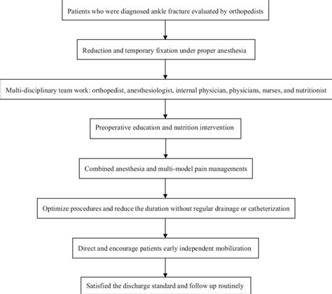 The Eras Protocol For Ankle Fracture Patients Download Scientific Diagram