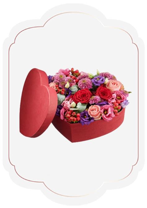 Zita Flores Colombia