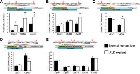 Dna Methylation At Particular Cg Dinucleotides Within The Human Pparα