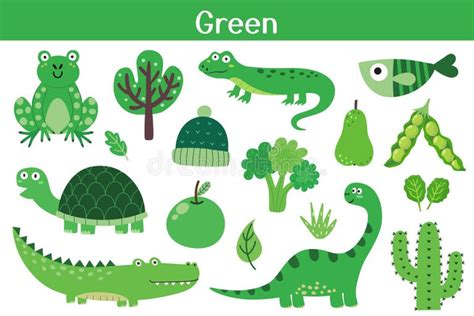 Conjunto De Objetos Verdes Aprender Colores Para Niños Colección De