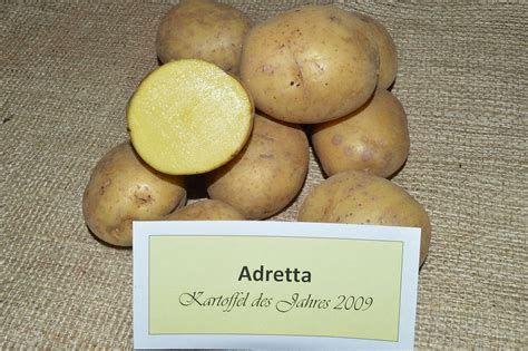 File:Adretta b.JPG - Wikimedia Commons