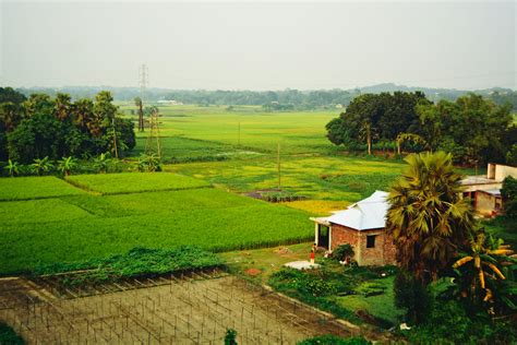 The Role Of Consent Managers Under Dpdpa And Dpdp Rules