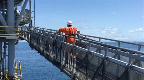Latc Marine What We Do