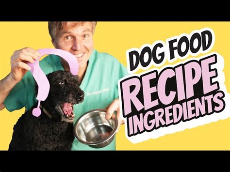 Vet Approved Homemade Dog Food Delicacies Simple Recipes