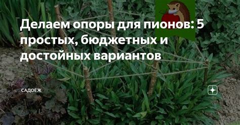 Делаем опоры для пионов: 5 простых, бюджетных и достойных вариантов ...