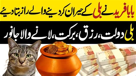 Billi Dolat Rizq Lati Hai Ab Dolat Mand Hona Mushkal Ni Hai By Knowledge Of Fatima YouTube