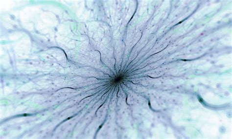 Therapy Principles — Nuga Best Uk And Ireland