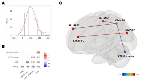 Association Between Physical Activity And Functional Connectivity In Download Scientific