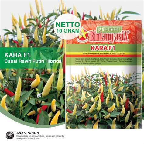 Jual 1 PACK Benih Cabai Rawit KARA F1 Cabe Rawit Pedas Annum Hibrida