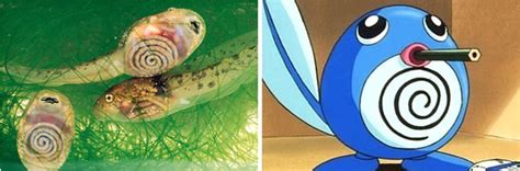 Freaky Realistic Pokemon Pokémon Fan Art 33417930 Fanpop
