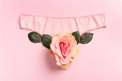 Tipos De Vaginas Descubra As Variações Anatômicas