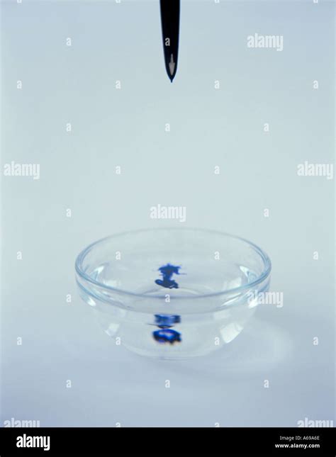 Miscibility Of Liquids A Drop Of Ink Dissolving In Water Stock Photo Alamy