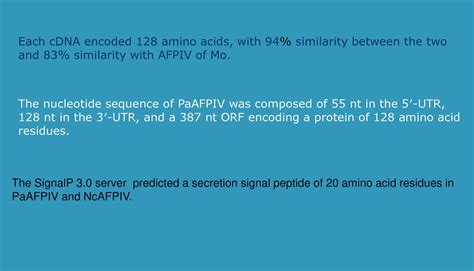 马战领 ppt download