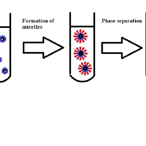 Cloud Point Extraction Method 19 Download Scientific Diagram